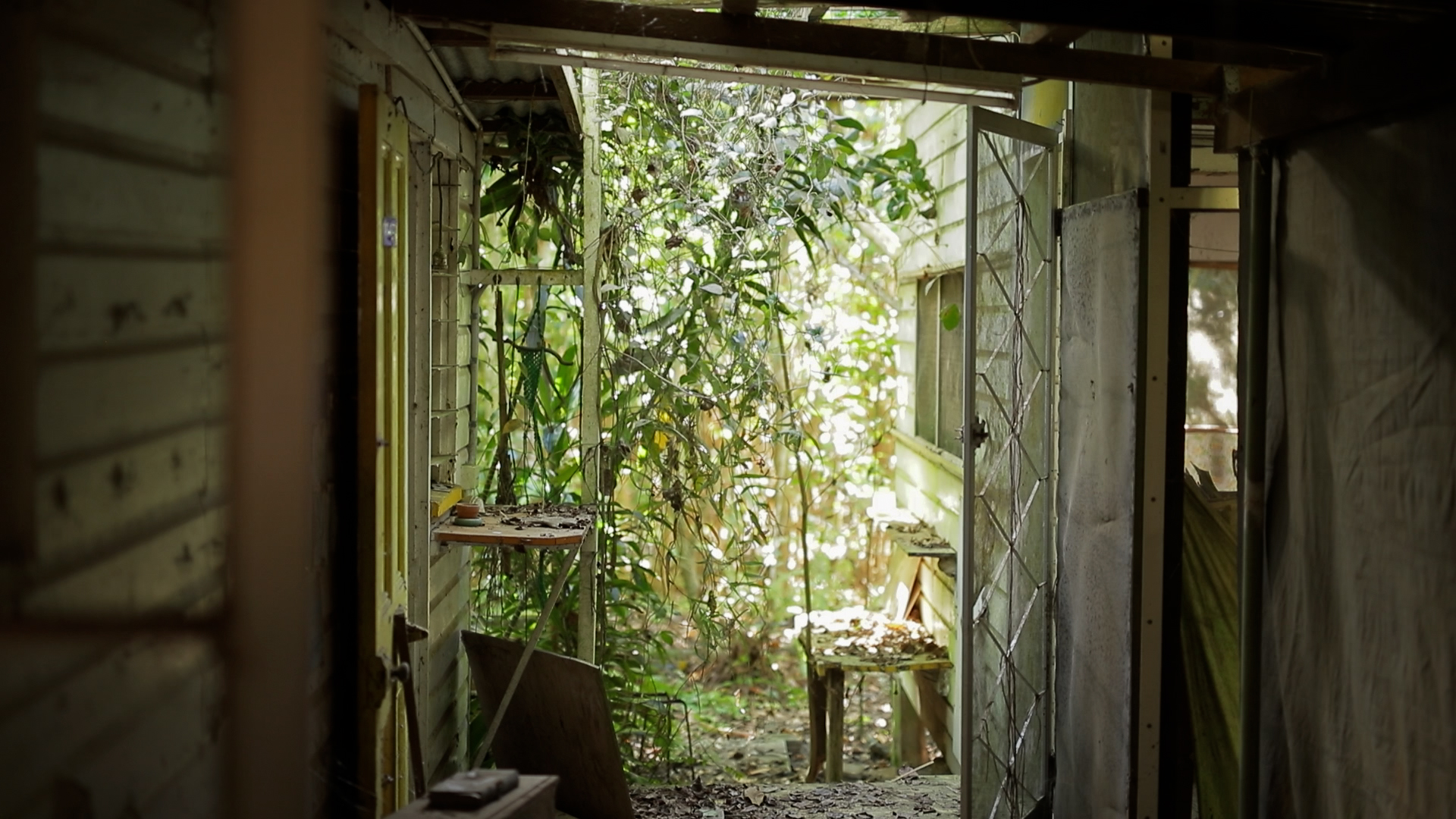 Matthew Stanton, Photographer