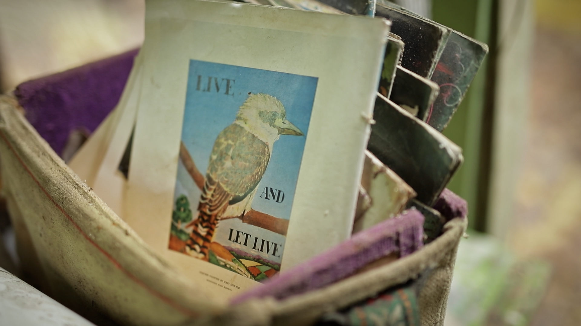 Matthew Stanton, Photographer