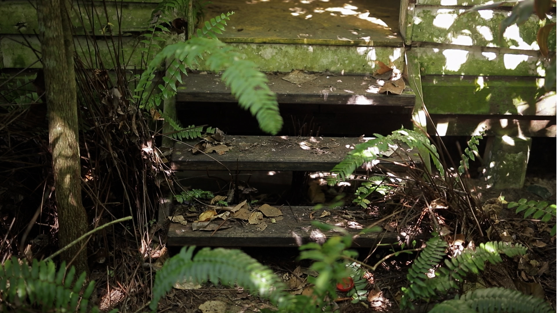 Matthew Stanton, Photographer